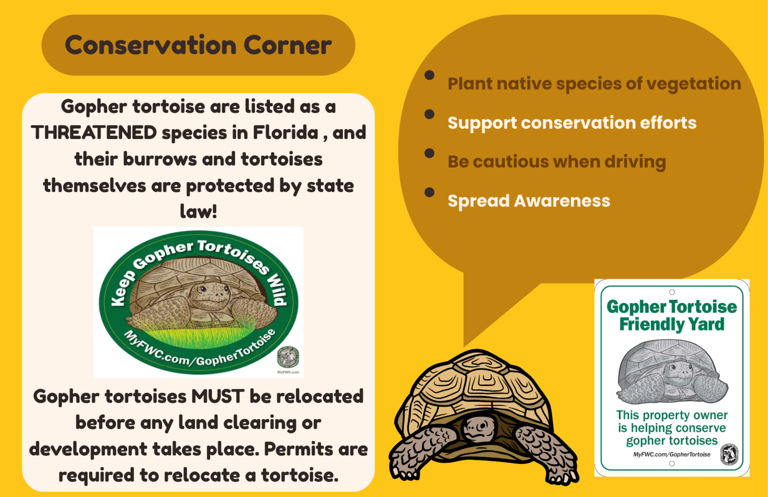 Gopher Tortoise Day: "Shell-a-Brate" This Keystone Species - UF/IFAS ...