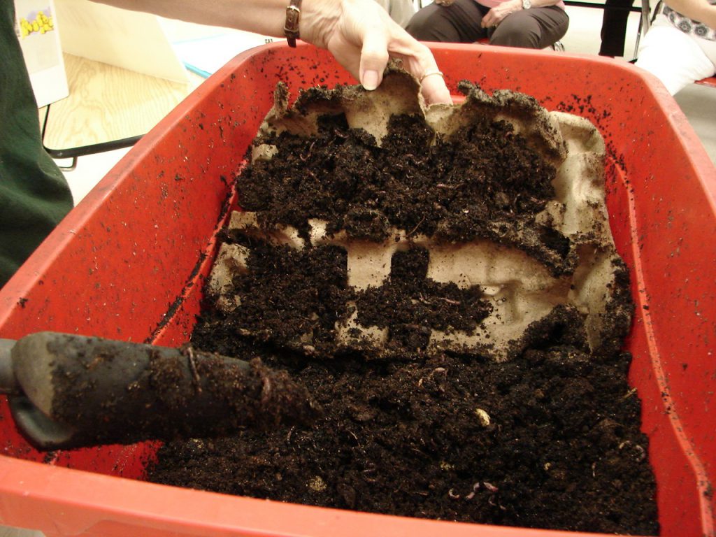 Let the worms do the work! Build your own worm farm for composting - UF ...