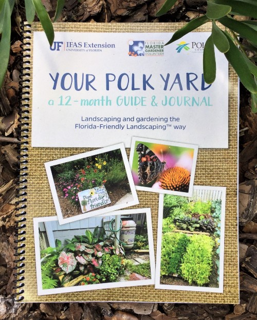 Successful Garden or Landscape in Central Florida