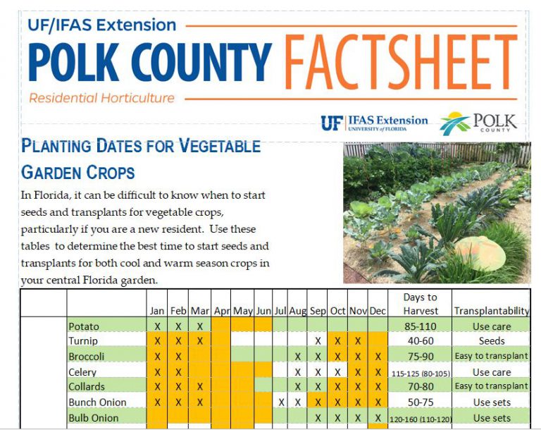 Uf Ifas Vegetable Garden Plan Zone 10 Planting Schedule And Calendar: