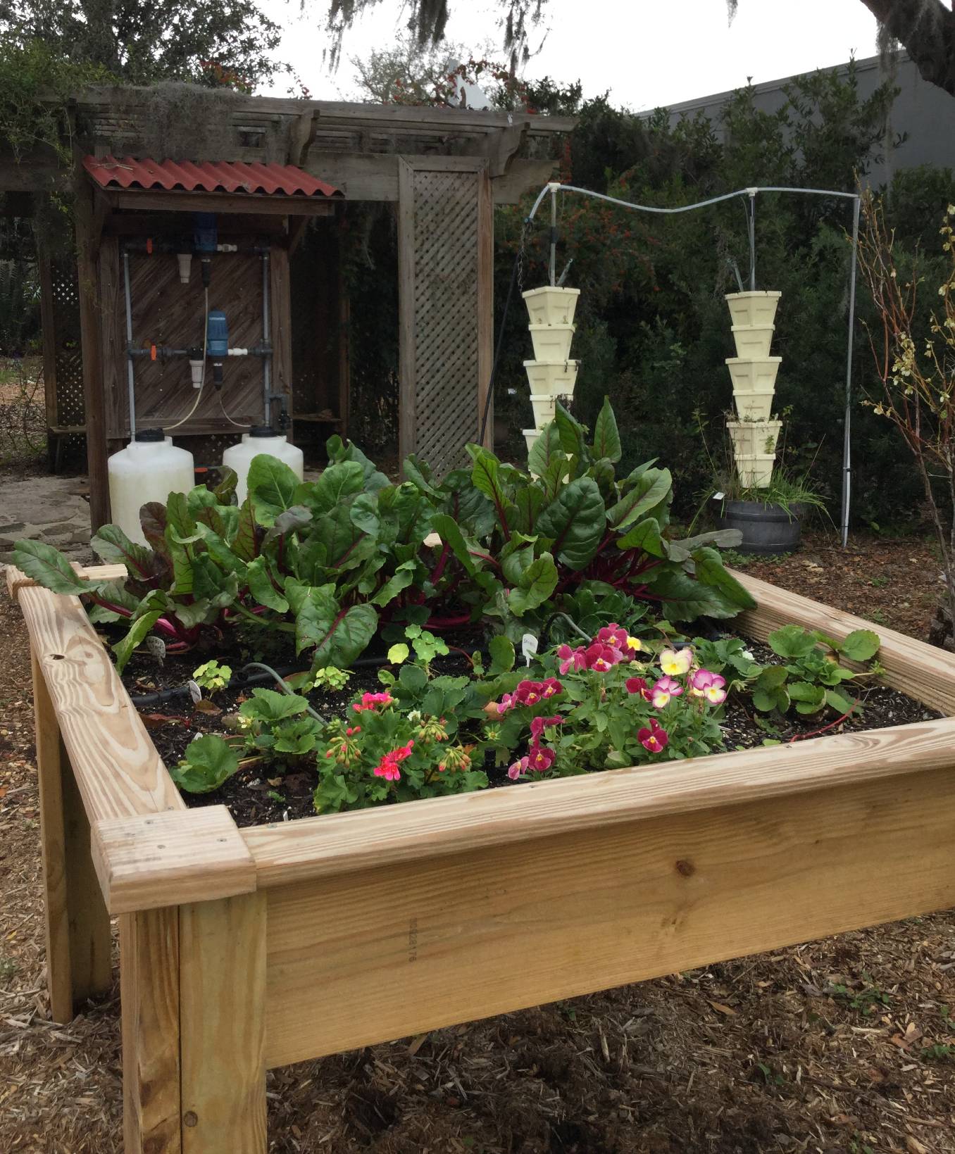 Florida Friendly Demonstration Garden at UF/IFAS Extension Polk County ...