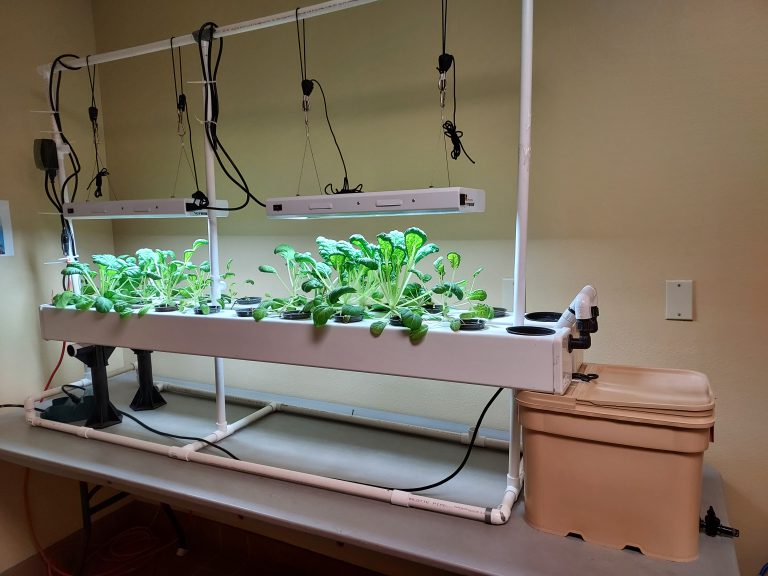 Hydroponics: NFT System - UF/IFAS Extension Polk County