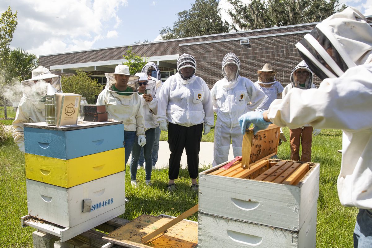 The Importance of Beekeeping and Polk County 4-H Beginner Beekeeping ...