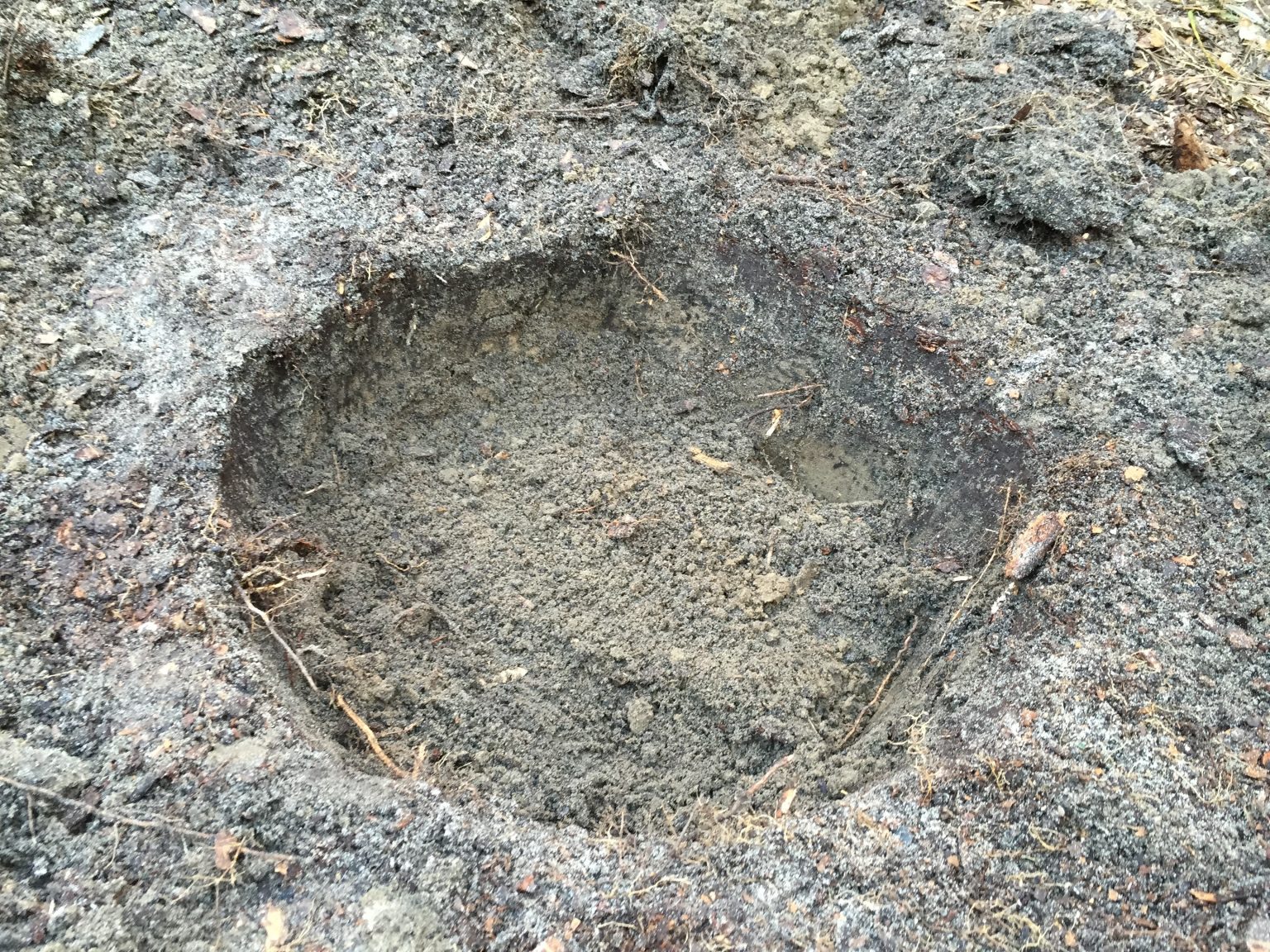 Proper Planting: Trees and Shrubs - UF/IFAS Extension Polk County