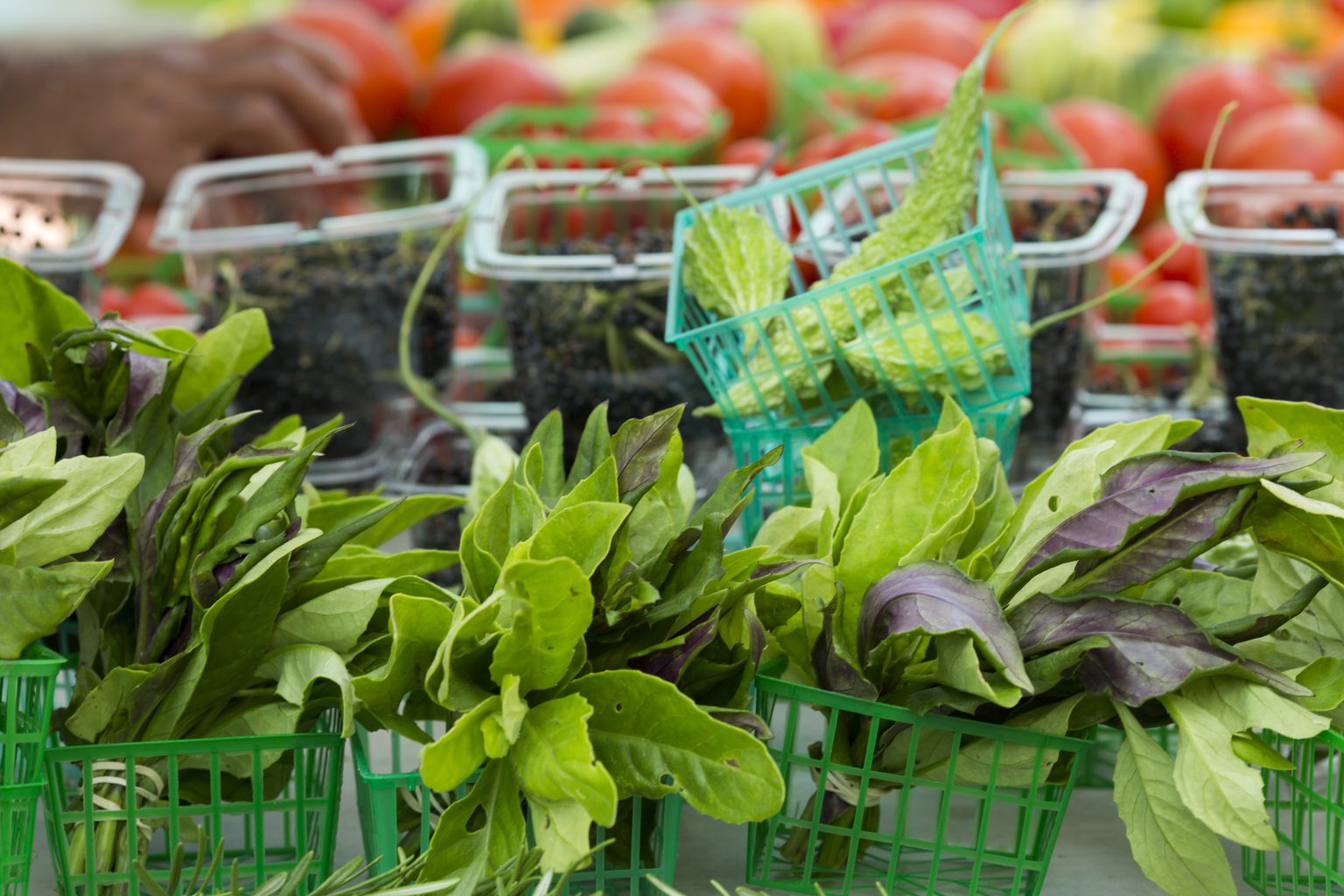 Consumers Trends of Locally Grown Produce / 2023 Fall Southwest Florida ...