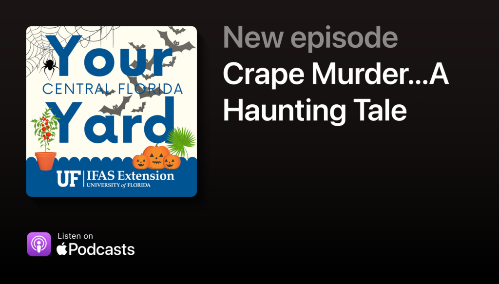 Crape Murder...A Haunting Tale: A New Episode of Your Central Florida ...