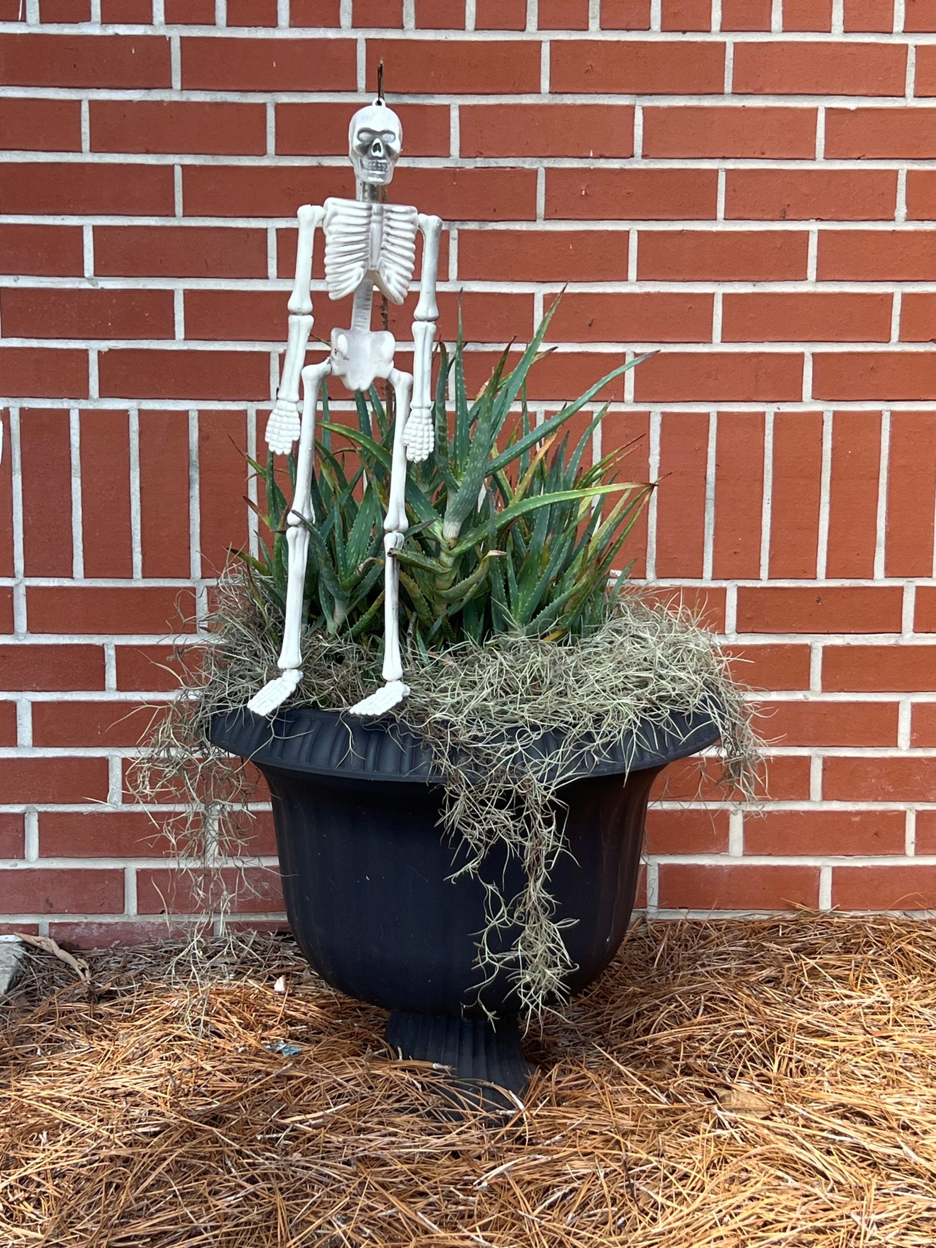 Spooky Season Planters: Transforming Planters into Hauntingly Beautiful ...