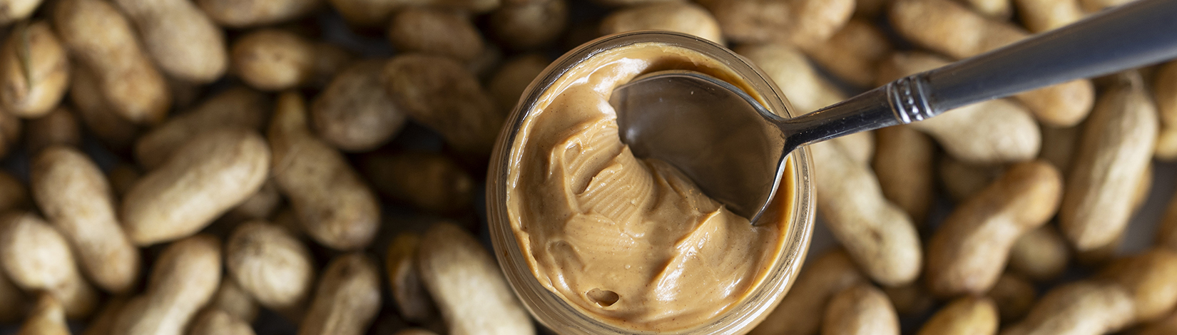 Polk County's 2024 Peanut Butter Challenge - UF/IFAS Extension Polk County