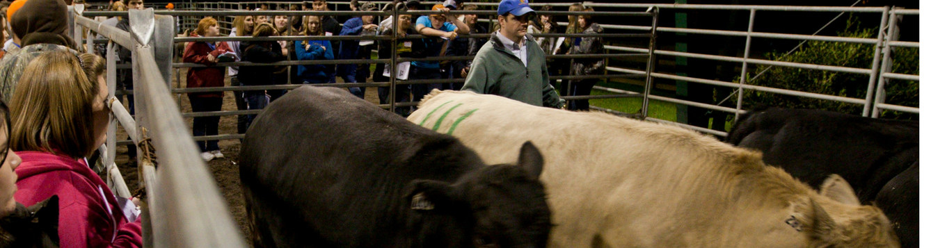 Livestock Judging, Preparing Youth for the Future - UF/IFAS Extension ...