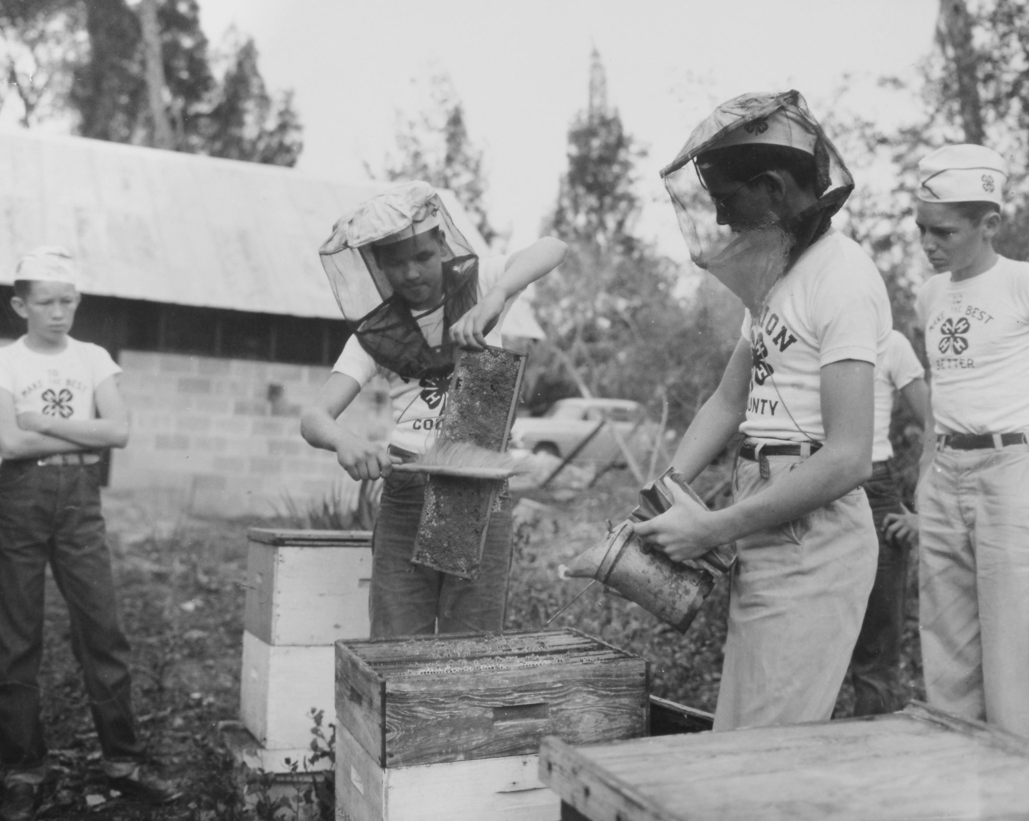 What is 4-H? - UF/IFAS Extension Putnam County