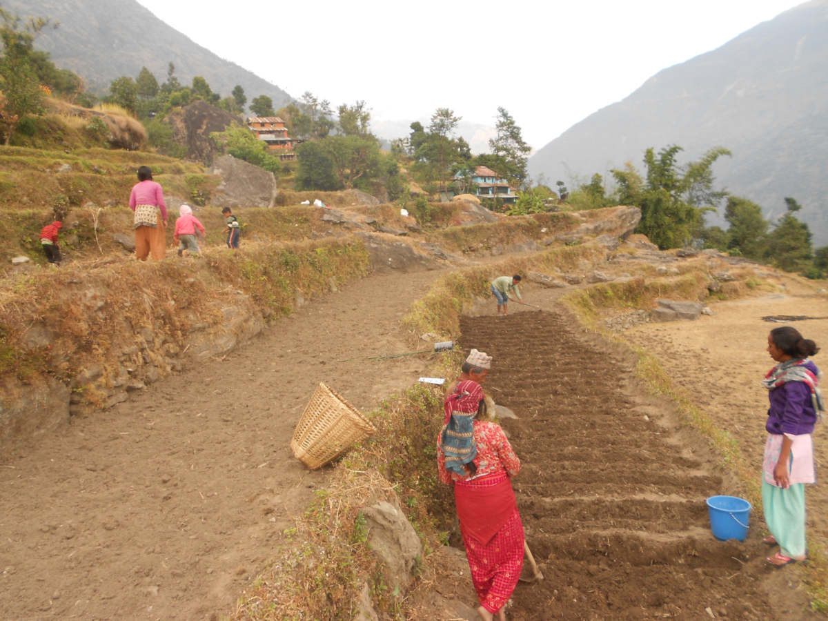 UF/IFAS RCREC Graduate Student Highlight: Dipti Rai - UF/IFAS Range ...