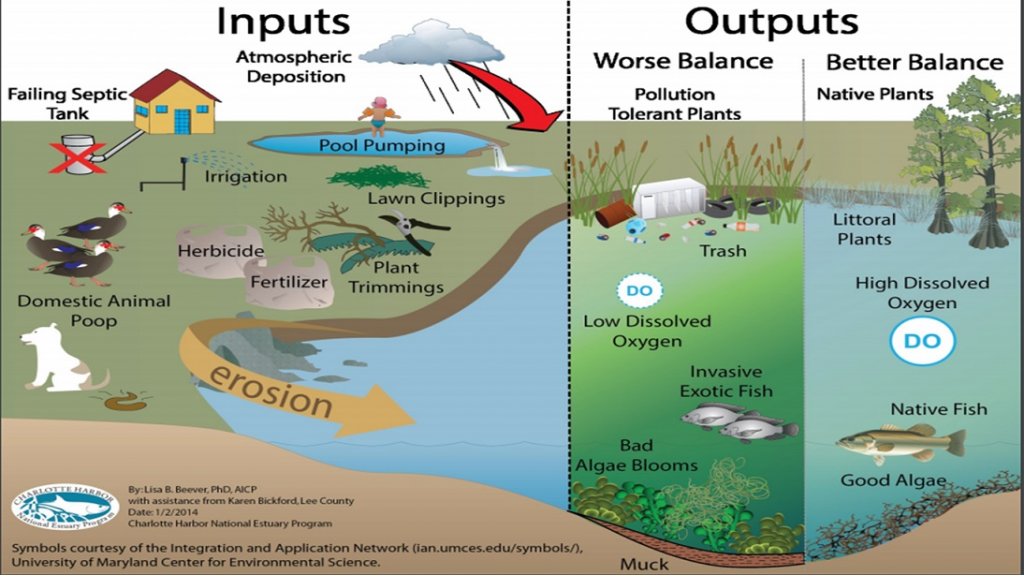 Lakes Appreciation Month - UF/IFAS Extension Sarasota County
