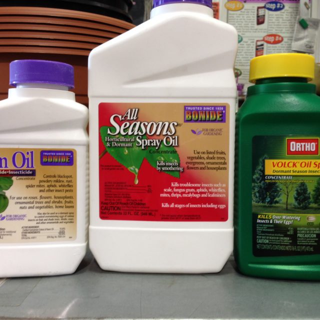 Controlling insects naturally - UF/IFAS Extension Sarasota County