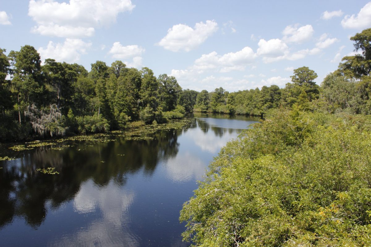 An introduction to water conservation - UF/IFAS Extension Sarasota County