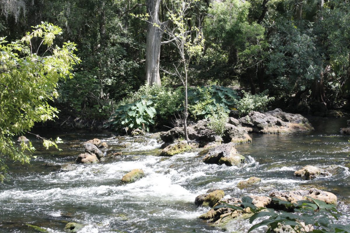 Reasons for water reuse - UF/IFAS Extension Sarasota County