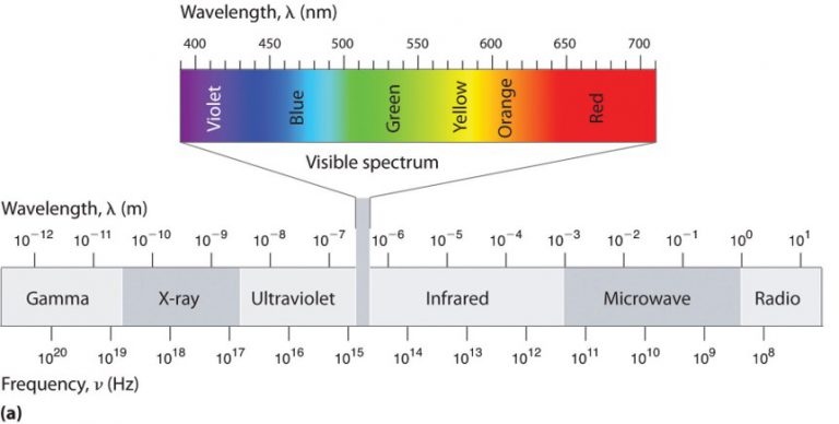 Edible Gardening Series: Question of the Week – insect vision and ...