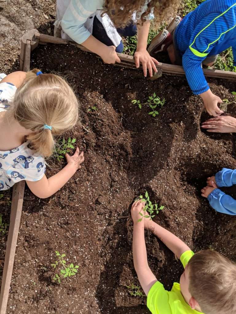 Nourishment...a common thread woven through school gardens - UF/IFAS ...