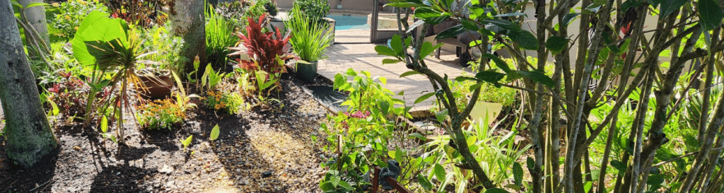 UF/IFAS Extension Sarasota County