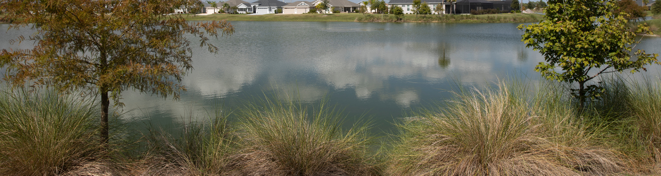 Water Talk: Plants For Your Pond - UF/IFAS Extension Sarasota County