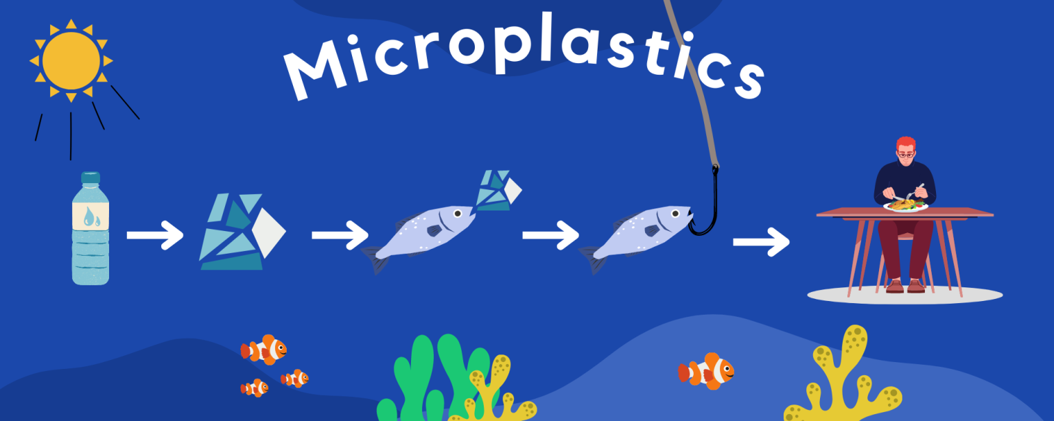 World Environment Day 2023: #BeatPlasticPollution - UF/IFAS Extension ...