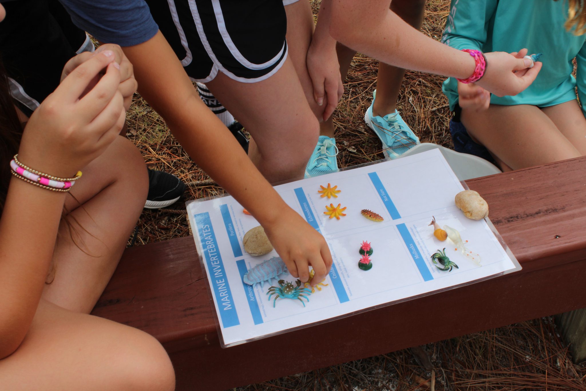 Volunteering In Nature: Thank You Ecology and Natural Resources Program ...