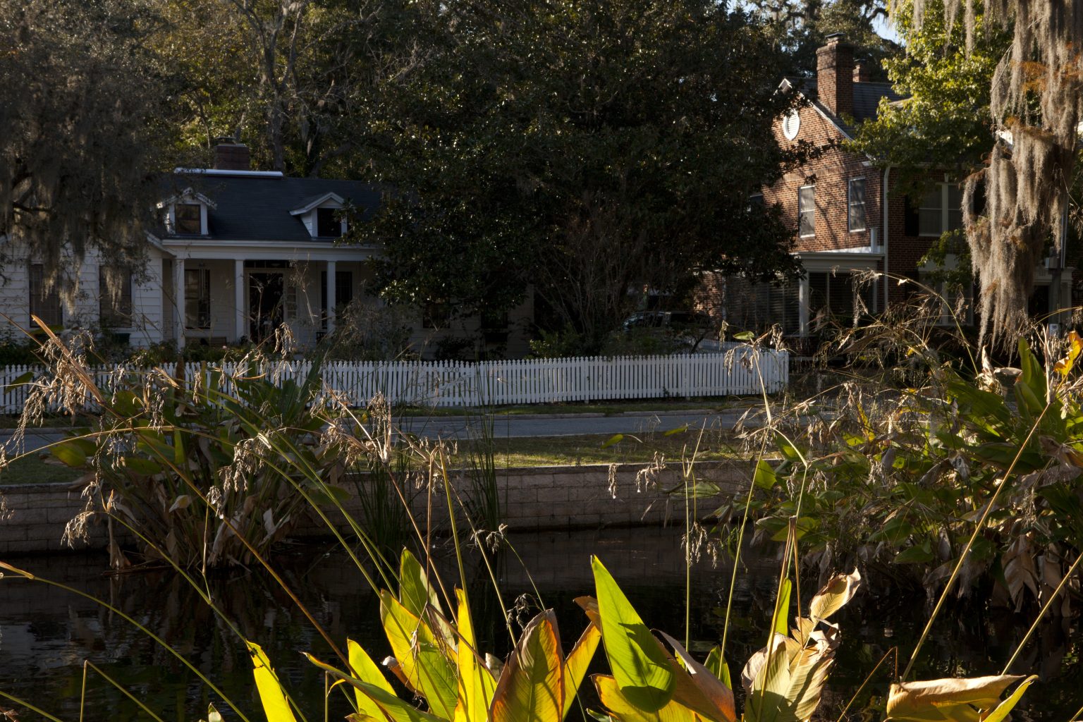 Water Talk: Improving the Water Quality In Your Pond - UF/IFAS Extension Sarasota County