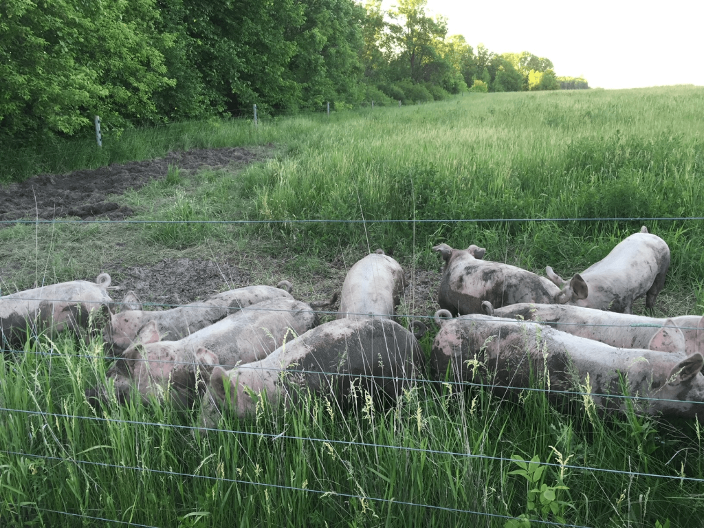 Becoming a Farmer (Part 3 of 7): "What" Do You Want to Produce? Can you ...