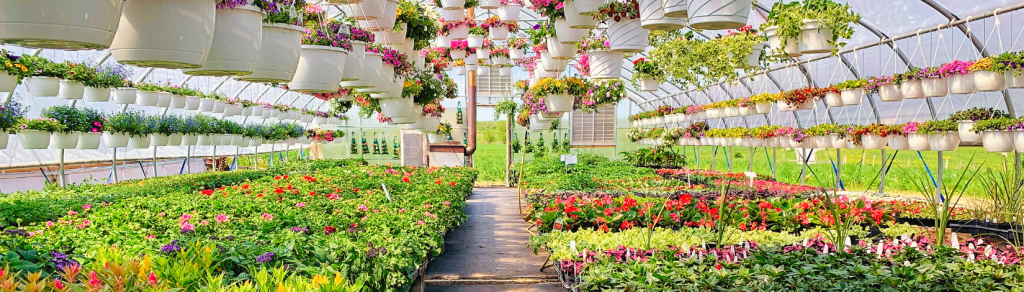 Meet a Master Gardener Volunteer Series: UF/IFAS Extension Sarasota ...