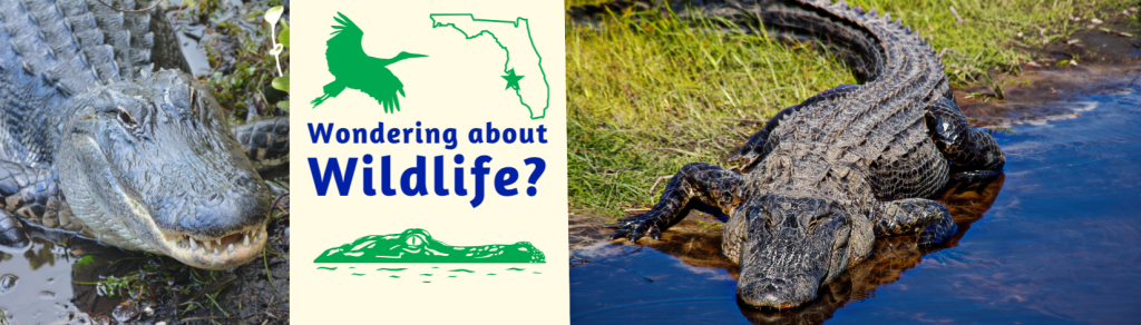 UF/IFAS Extension Sarasota County