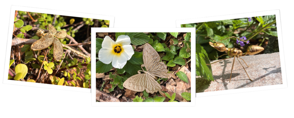 Putting on the (Bio)Blitz - UF/IFAS Extension Sarasota County