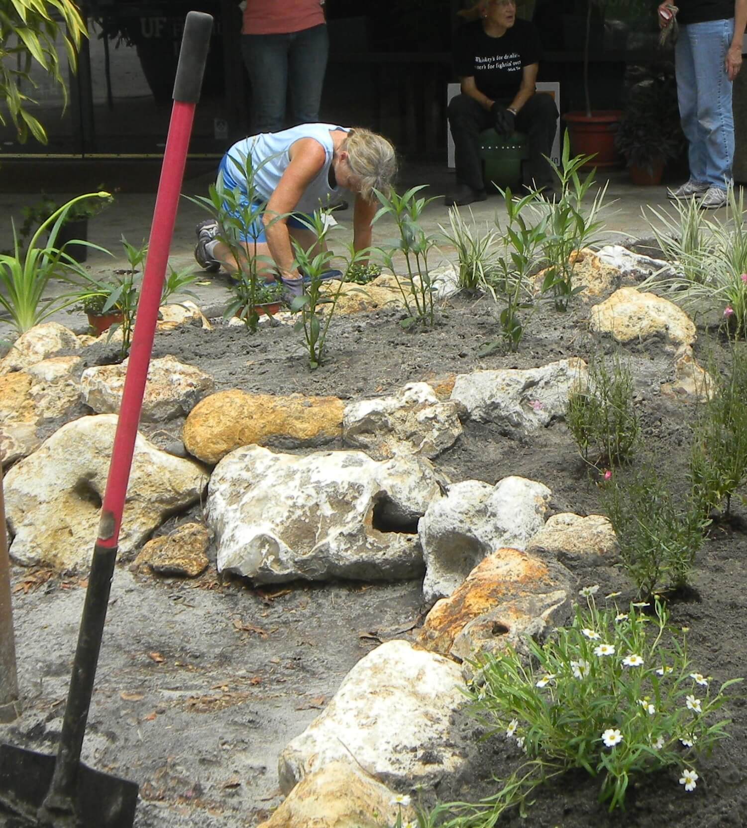 How Can Procrastinators Be Good Gardeners? - UF/IFAS Extension Seminole ...