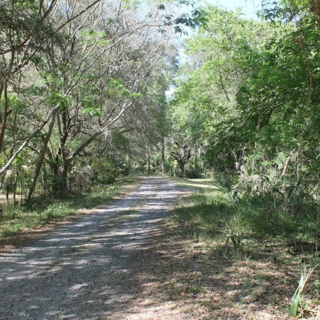 Rediscovering Florida’s Rich Agricultural Heritage - UF/IFAS Extension ...