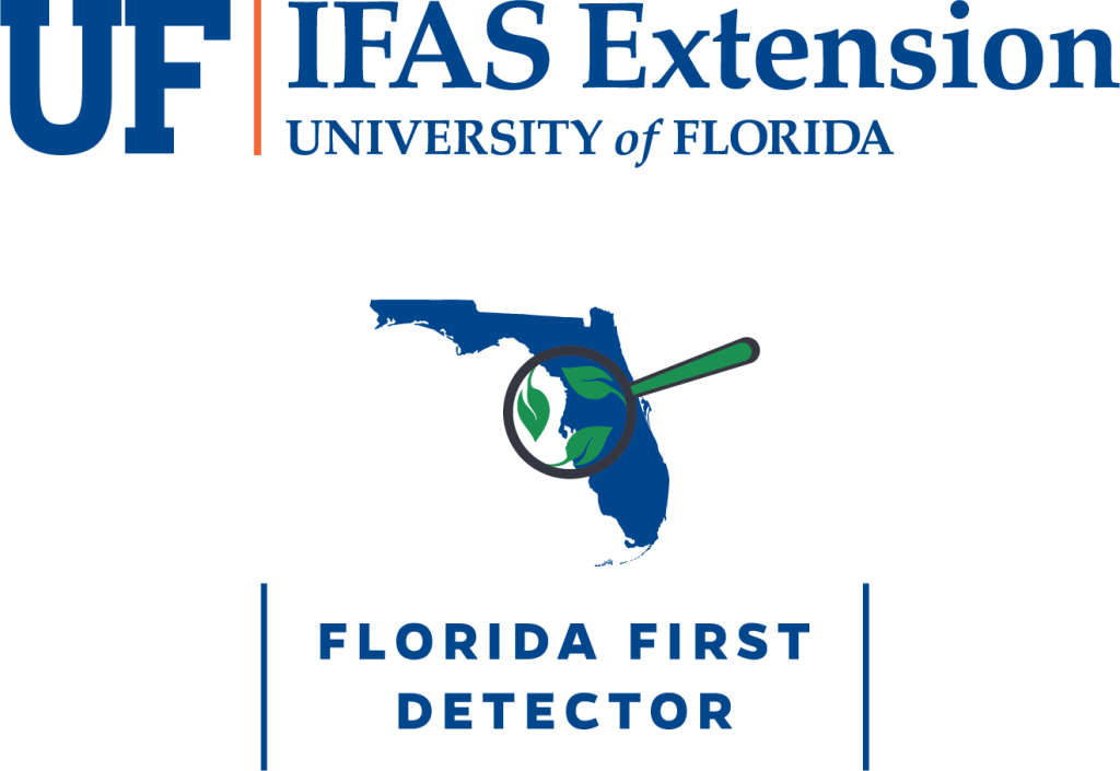 First Fridays with Florida First Detector, Schedule available Sept 2025 ...