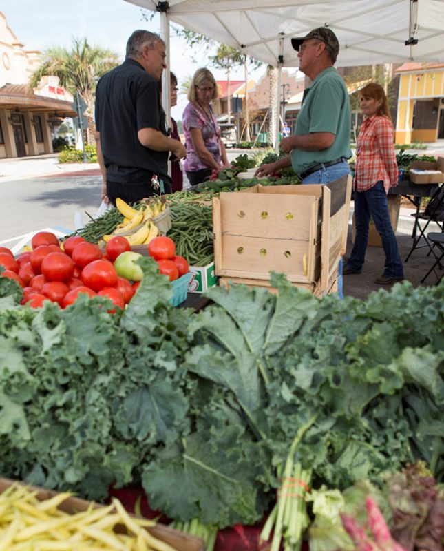 Keeping your leafy vegetables fresh at the farmers' market - UF/IFAS ...