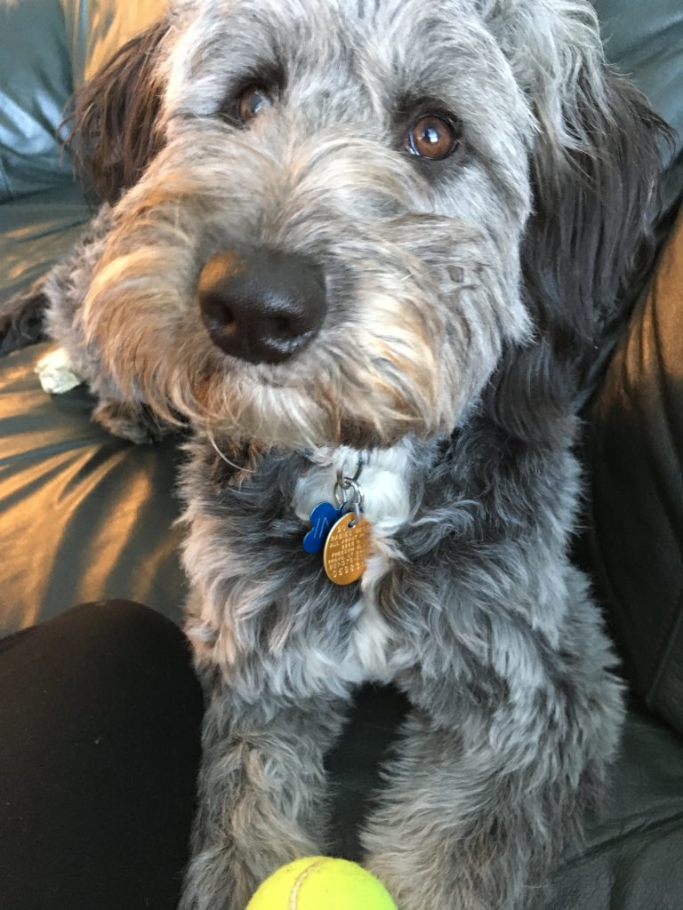 Meet Ali Goetz, SNRE's New Undergraduate Student Advisor - School of ...