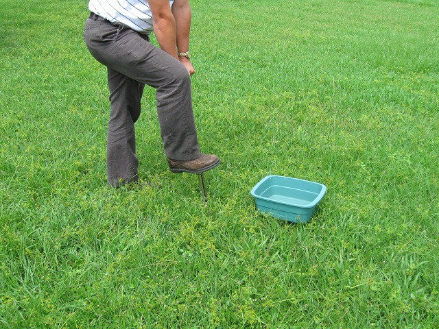 How to Take a Soil Sample - UF/IFAS Extension St. Johns County