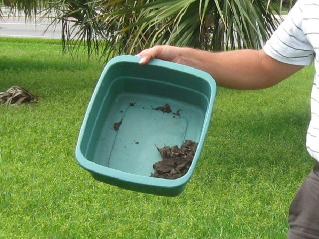 How to Take a Soil Sample - UF/IFAS Extension St. Johns County