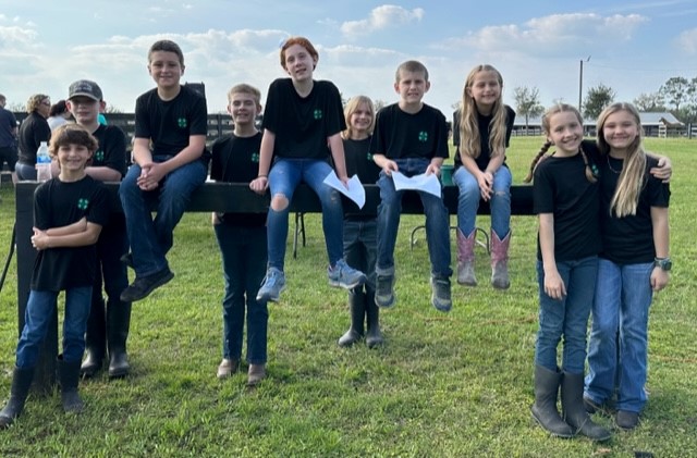 Hooves & Horns 4-H Club Hosts First 4-H Goat Show in St. Johns County ...