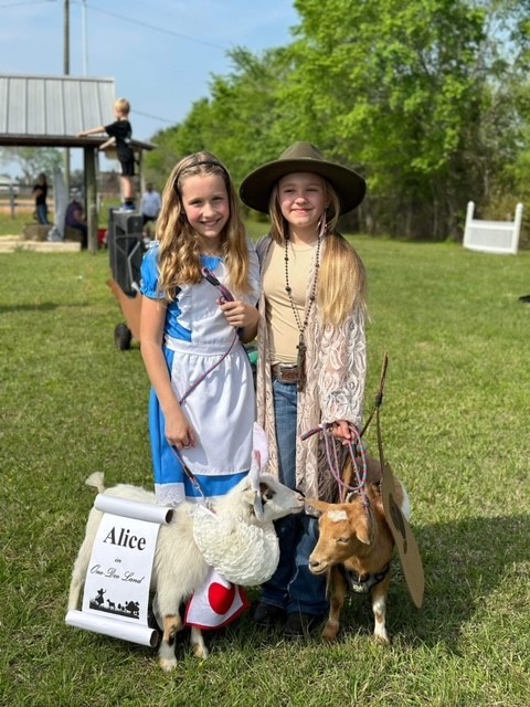 Hooves & Horns 4-H Club Hosts First 4-H Goat Show in St. Johns County ...