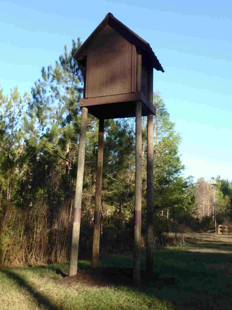 Have you heard about UF's other bat house? - UF/IFAS Extension St ...