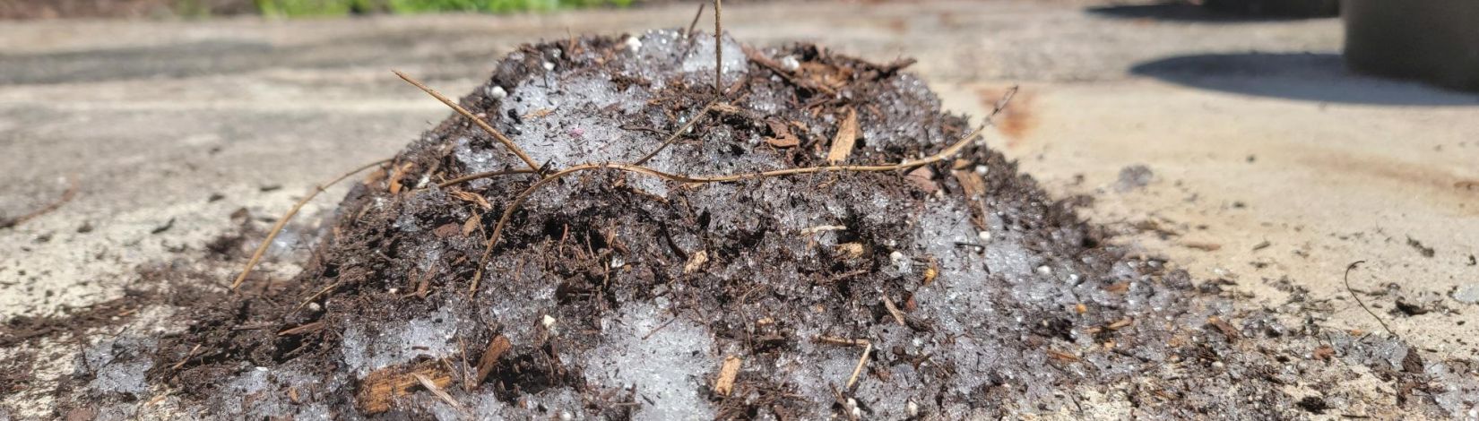 How to use Hydrogel as a Soil Amendment for Increasing Water Retention ...