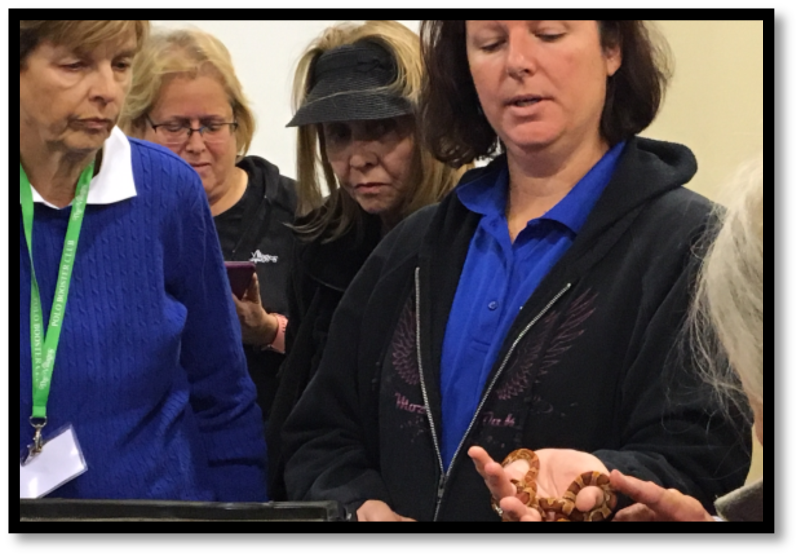 Apply for the Sumter County Master Gardener Volunteer Class! - UF/IFAS ...