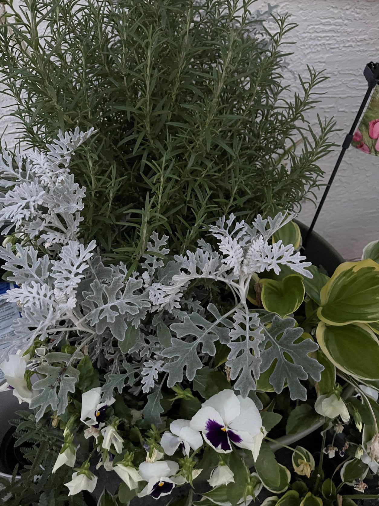 Create Containers for the Seasons - UF/IFAS Extension Sumter County