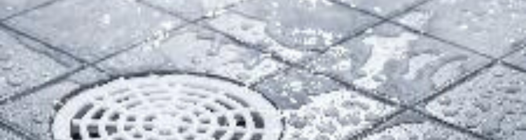 Home Management Archives - UF/IFAS Extension Suwannee County