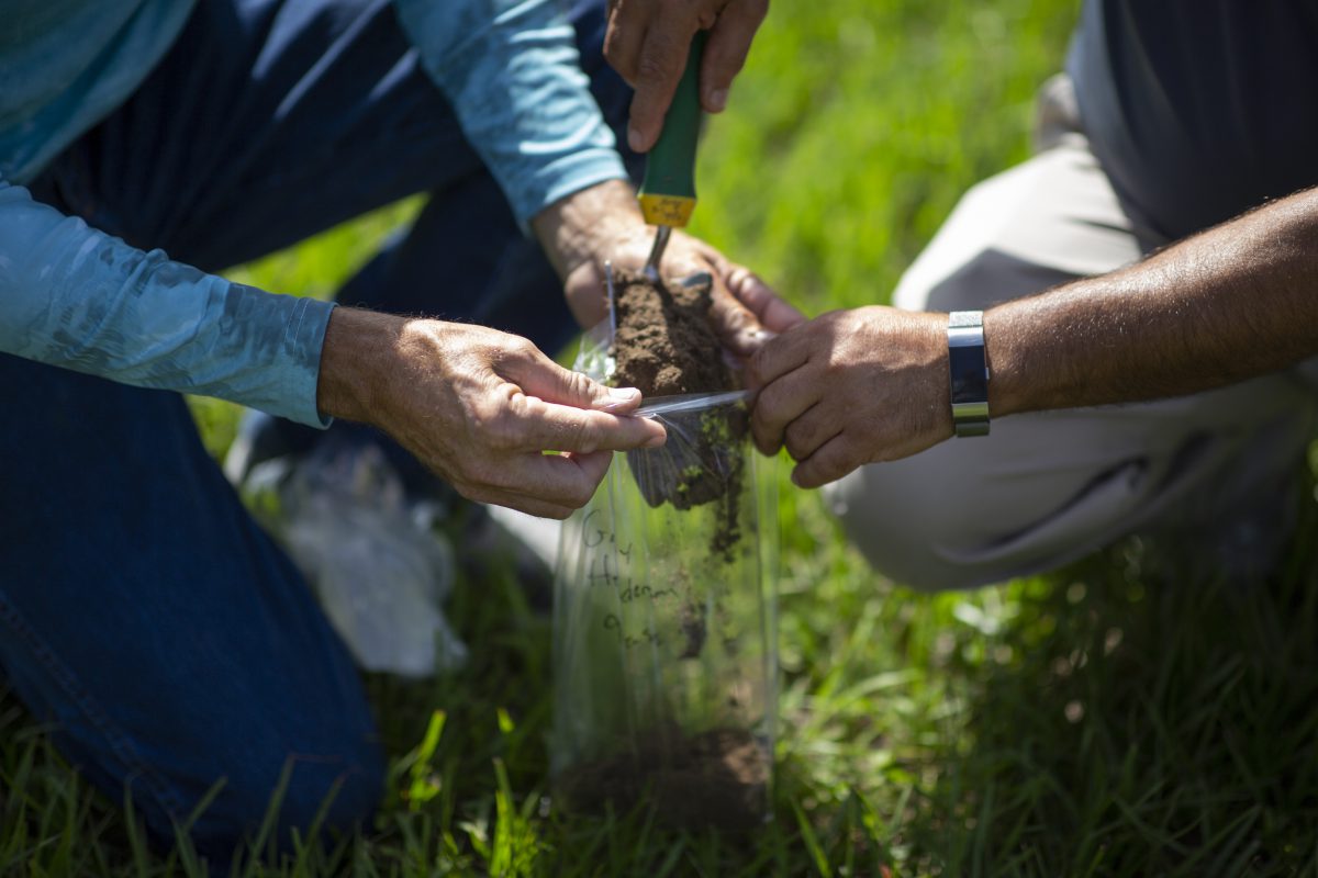 Soil Test Now to Get a Head Start on Spring Planting: Part 1 - UF/IFAS ...