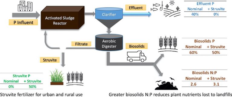Sustainable wastewater phosphorus recovery: keeping the P local - Soil ...