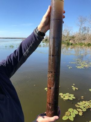 Sizing up organic soil material: new research evaluates methods of ...