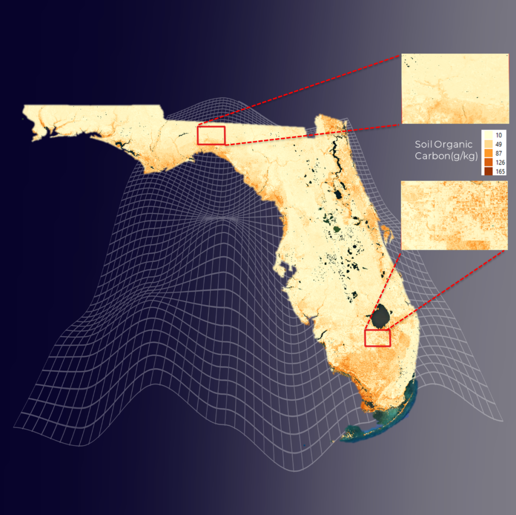 Decadal Soil Changes: UF/IFAS study aligns with World Soil Day 2024 ...