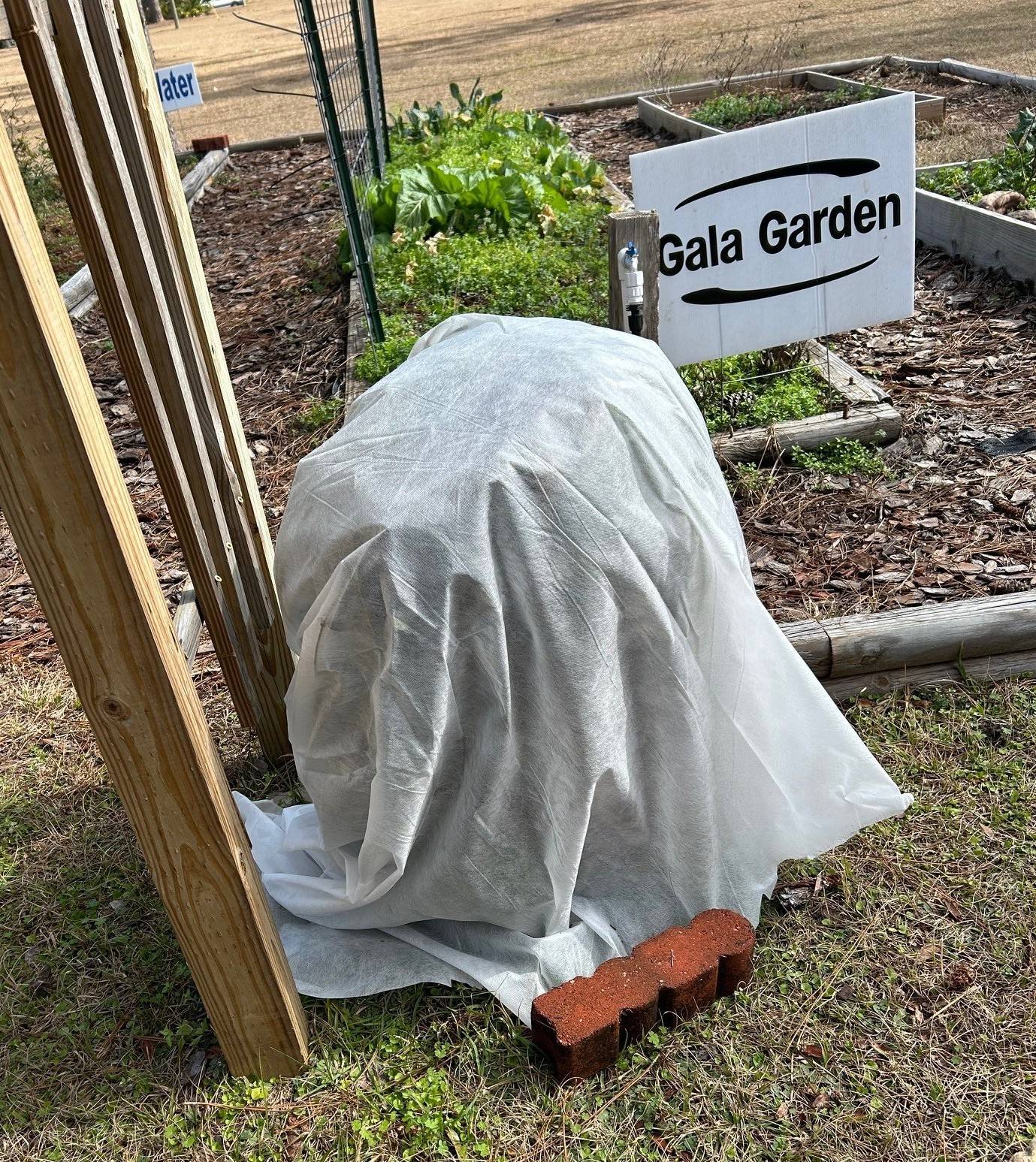 Prolonged Cold Temperatures and Their Impact on North Florida ...