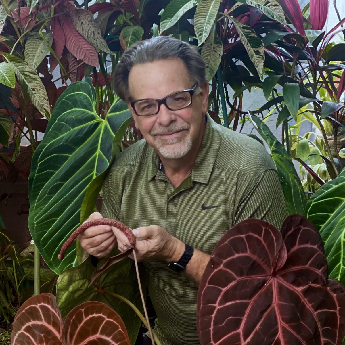 Perspectives from the Hemp Industry: Author Profiles - UF/IFAS Tropical ...